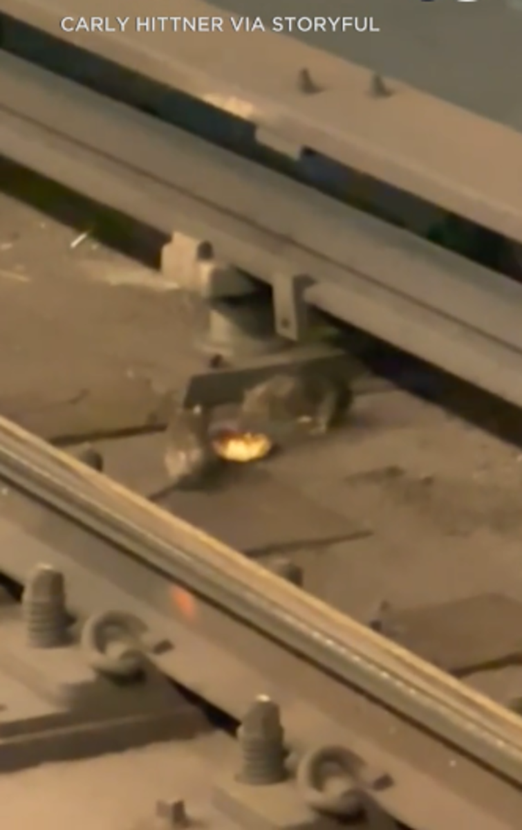 NYC's 'Donut Rat' Goes Viral for Sharing a Sweet Surprise With a Friend ...